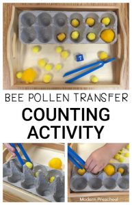 Bee Pollen Counting Activity