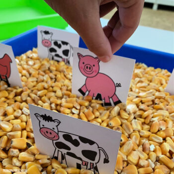 Farm Alphabet Match Sensory Bin